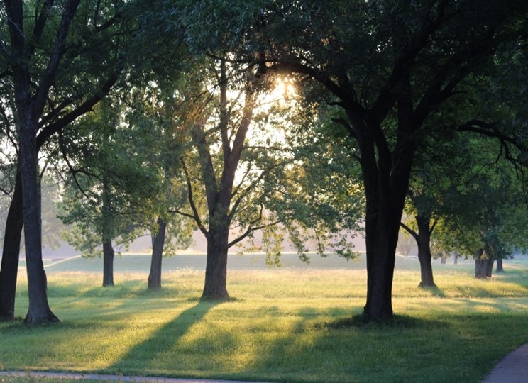 Your Carbon Footprint with Alan PoirierOld Lyme Phoebe Griffin Noyes ...