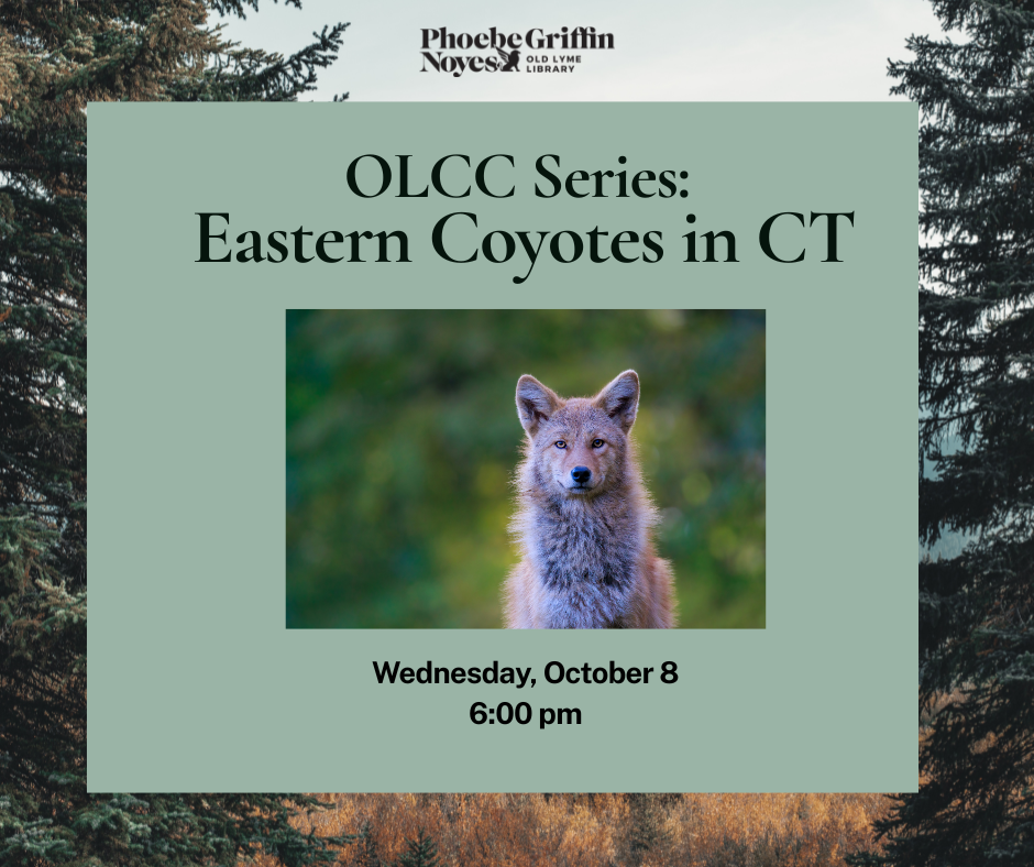 OL Conservation Commission Series: Eastern Coyotes in CT – Wednesday ...